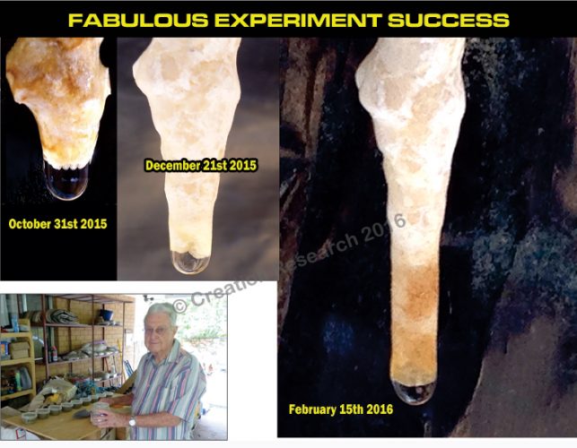 Stalactite Machine Report No. 3 - Fabulous Experiment Success 21/12 ...