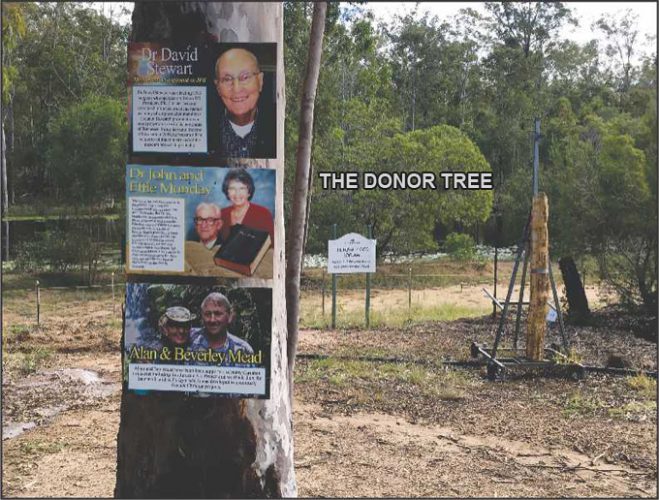 History of the Donor Tree - Creation Research